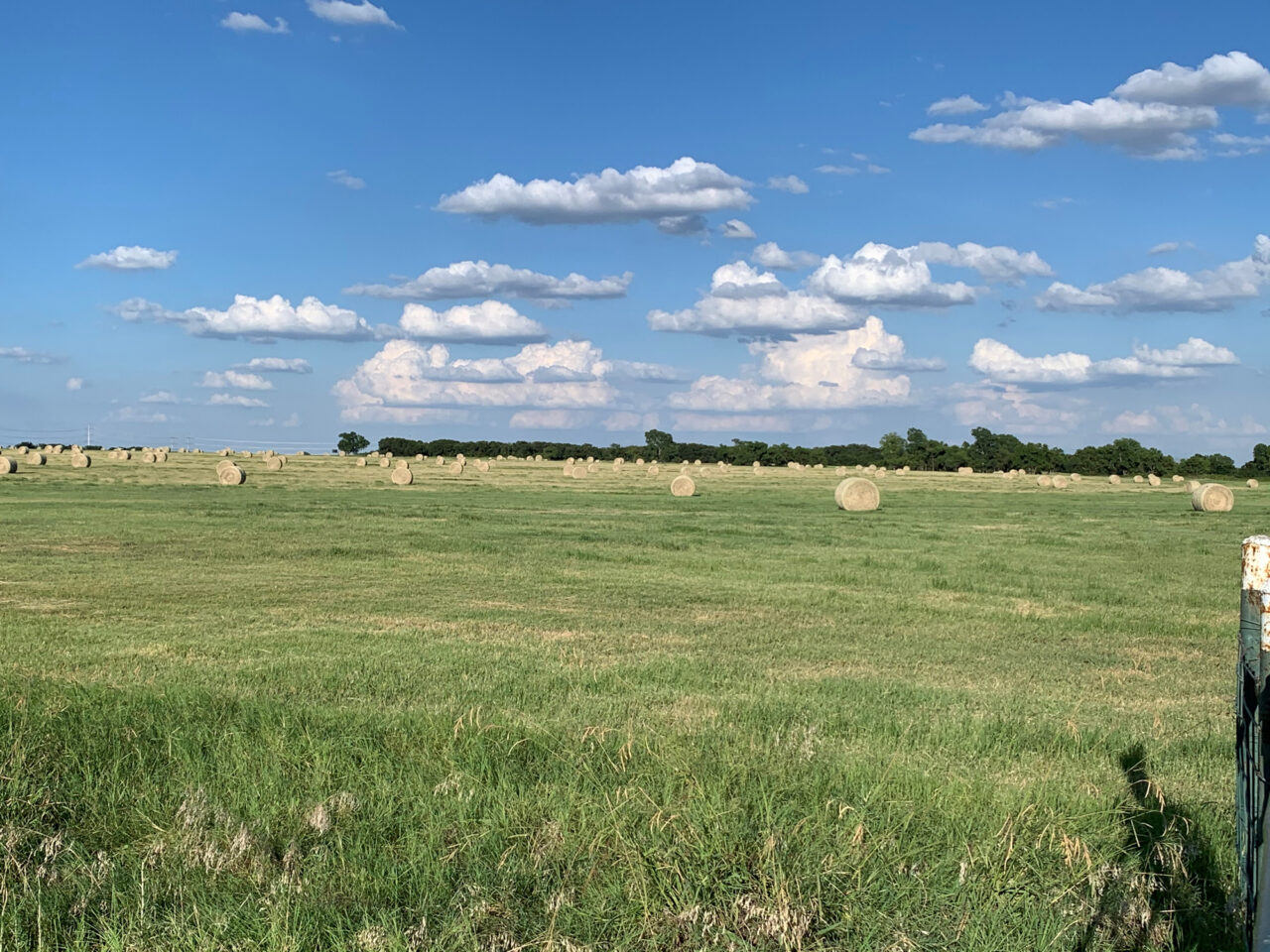 Gallery | Phillips Hay Farm Eastland County Carbon Texas